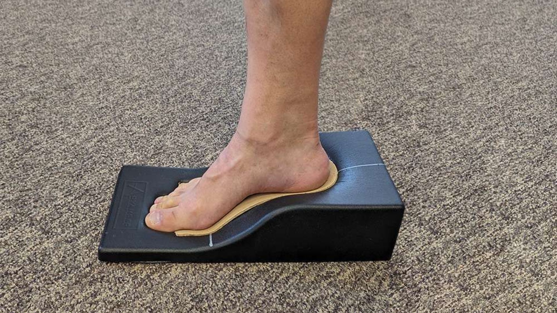2 | Foot Dynamics